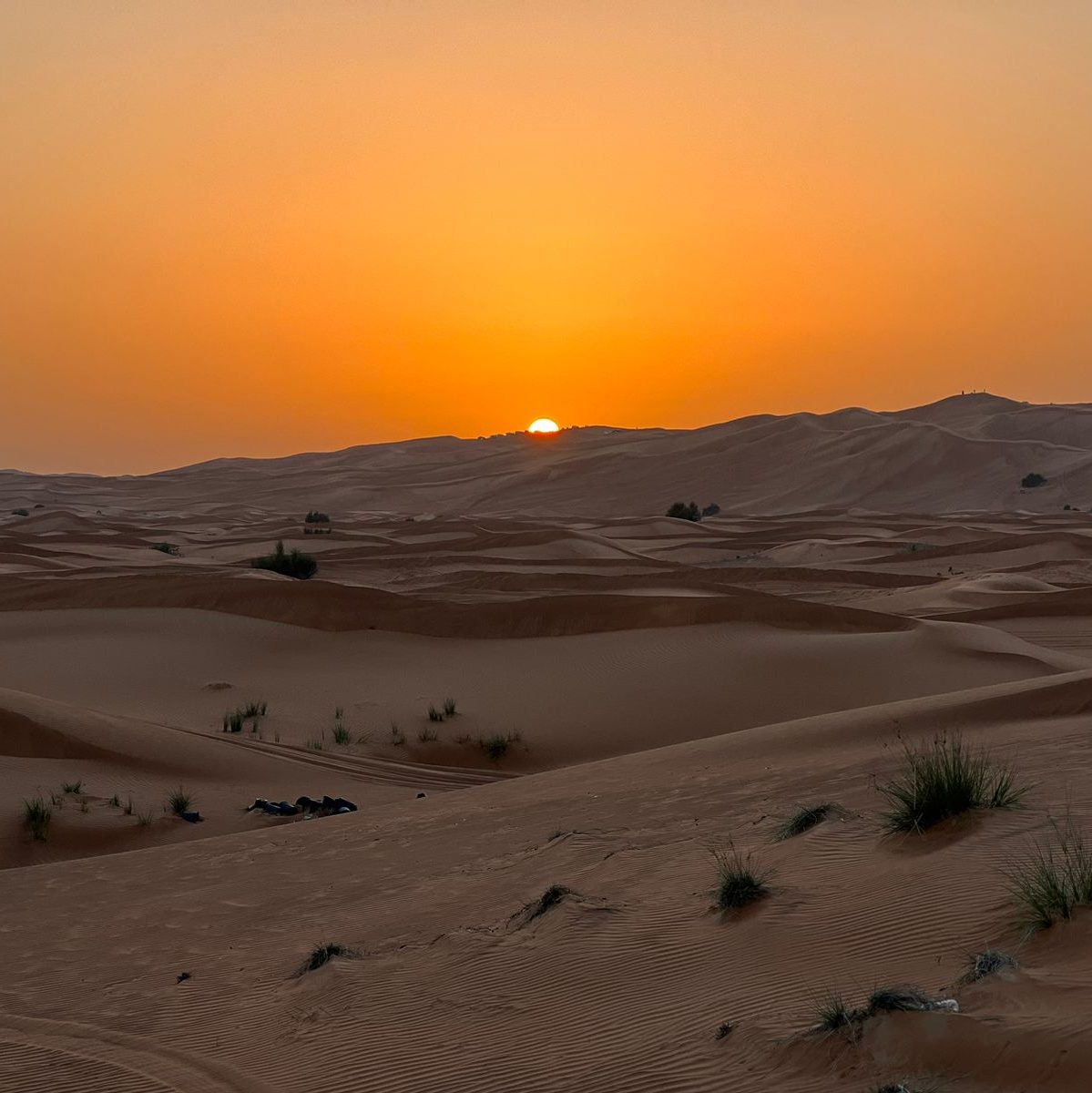 Tours – Royal Desert Adventure