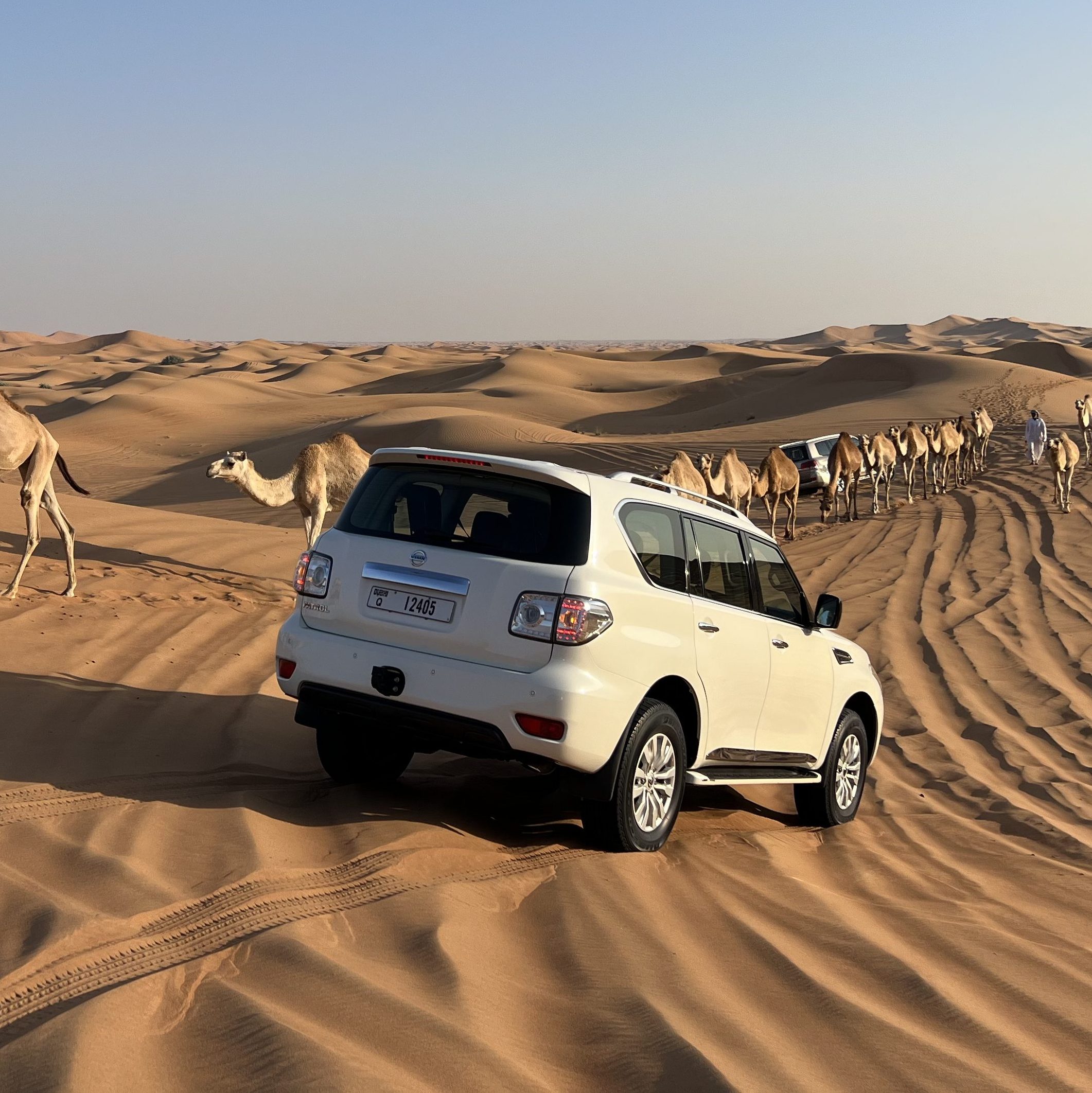 Royal Desert Adventure – For all your Royal Tours in the UAE